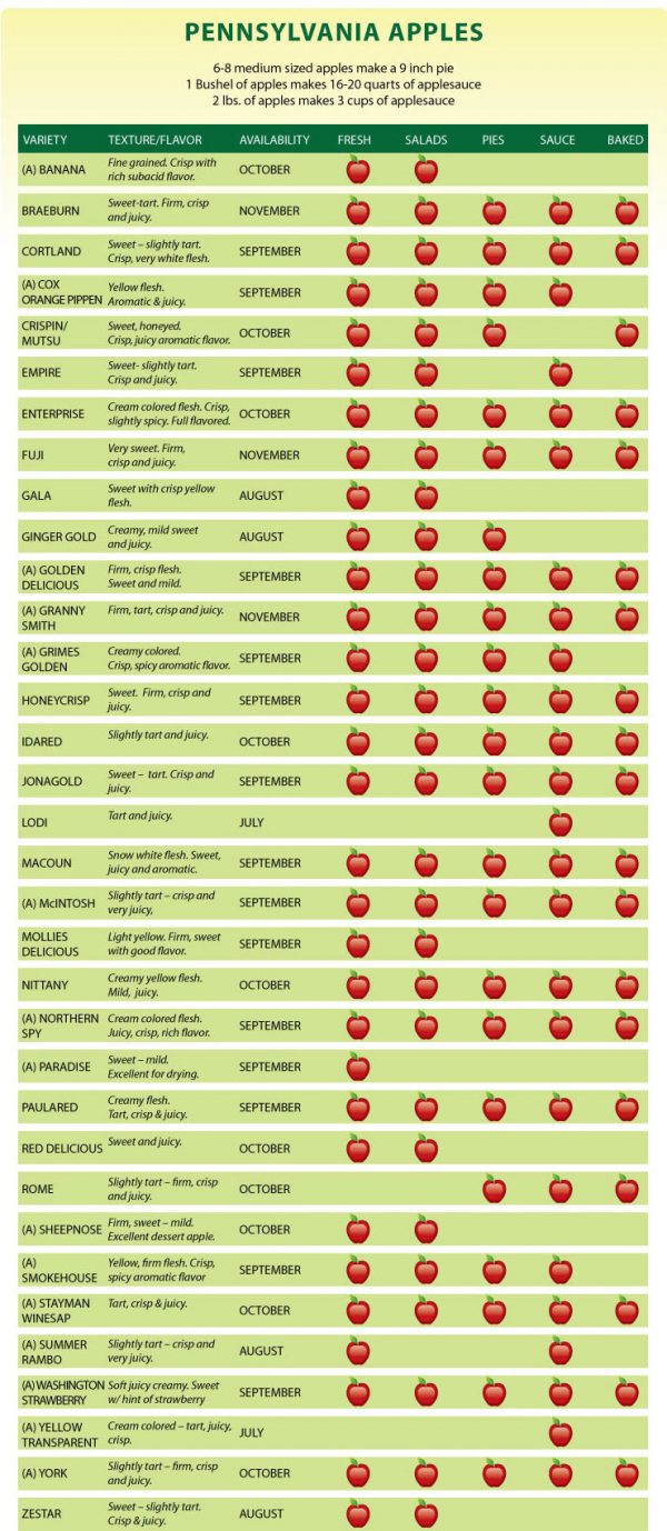 PA Apple Varieties – Boyer Nurseries and Orchards, Inc.